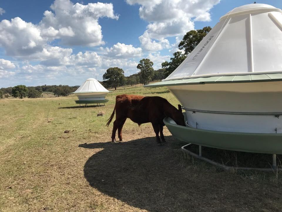 Feeding Troughs - Dotmar