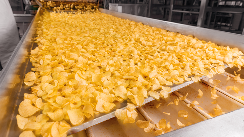 Vibratory Conveyor Systems in the Food Industry - Dotmar